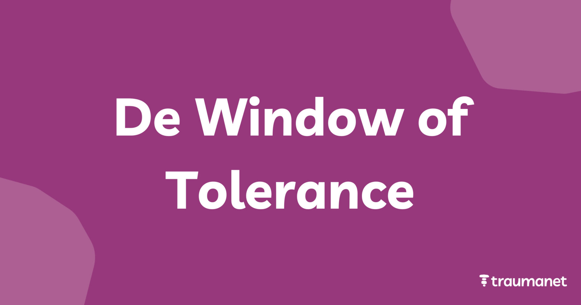 Wat is de Window of Tolerance? Uitleg over de impact van trauma